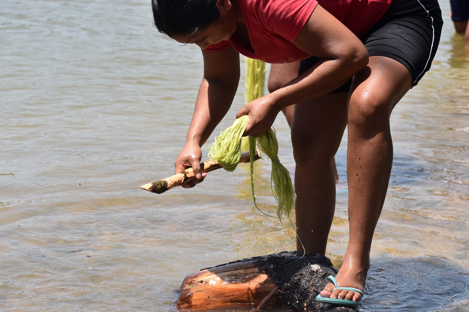 Sembrando Nuestros Saberes | British Council Colombia