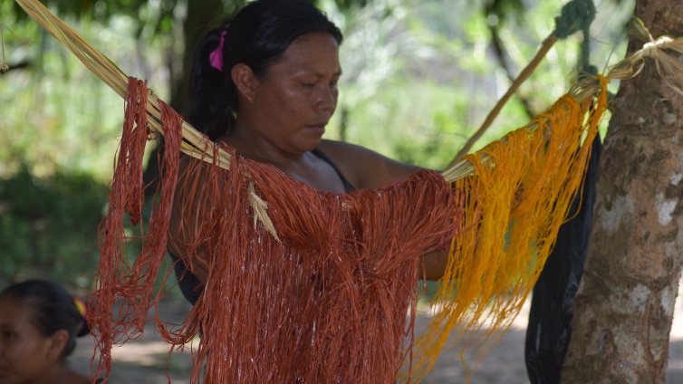 Yaruro People | British Council Colombia